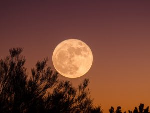 Rea, luna de Saturno, posee un material misterioso en su superficie ...